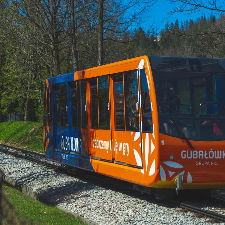 Krakow: Zakopane and Gubalowka Cable Car, Tasting Day Trip | GetYourGuide
