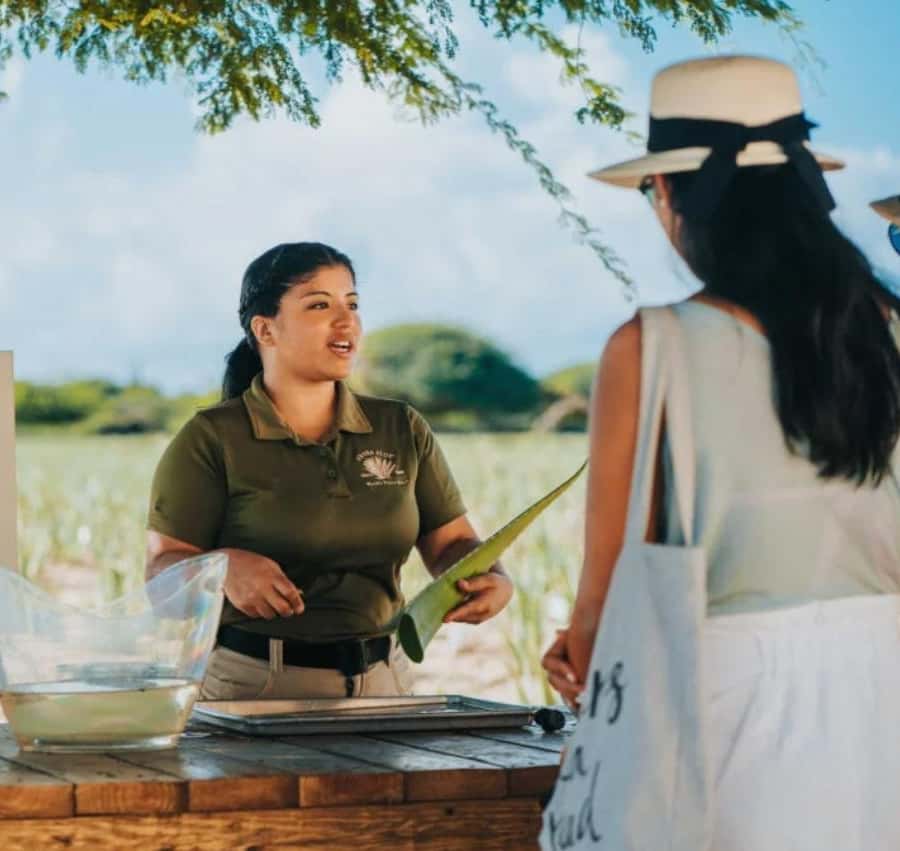 Oranjestad: Full-Day Aruba History and Landmarks Tour | GetYourGuide