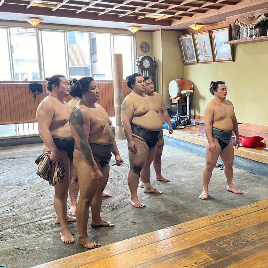 Tokyo: Visit Sumo Morning Practice with English Guide | GetYourGuide