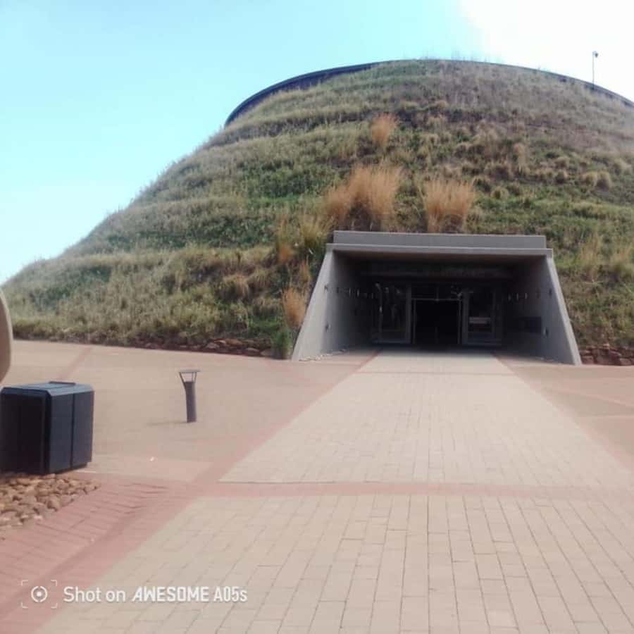 Jhb:Cradle Of Humankind, Lion Park & Lesedi Cultural Village | GetYourGuide