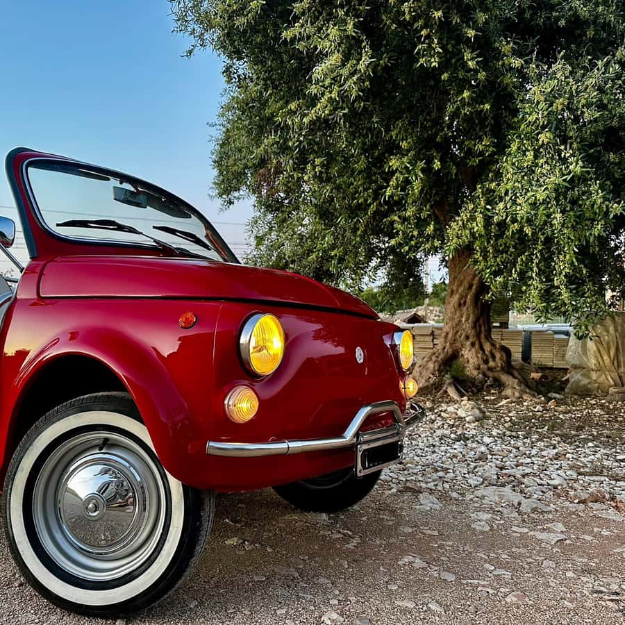 Polignano a Mare, San Vito and Conversano Vintage tour on Fiat 500 ...