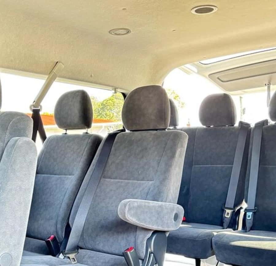 Dunedin City & Otago Peninsula Scenery Day Tour | GetYourGuide