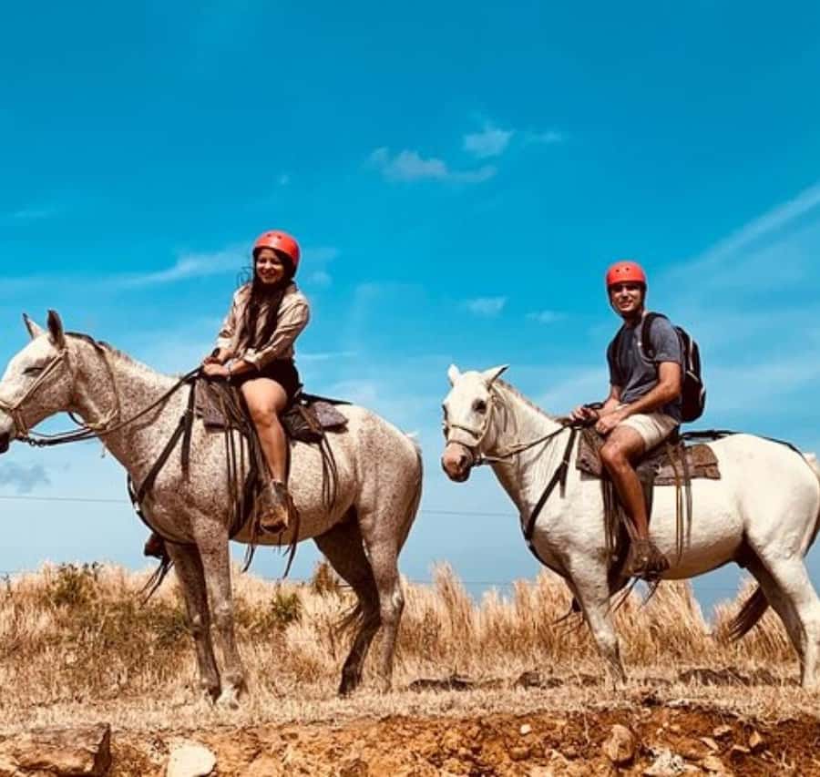La Cruz, Guanacaste: True Horseback Ride Tropical Forest | GetYourGuide