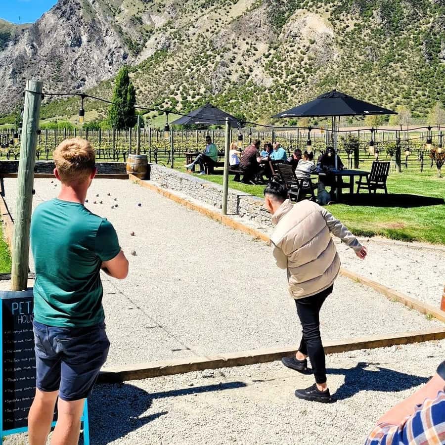Queenstown: Wine Hopper Flexible Wine Tour | GetYourGuide