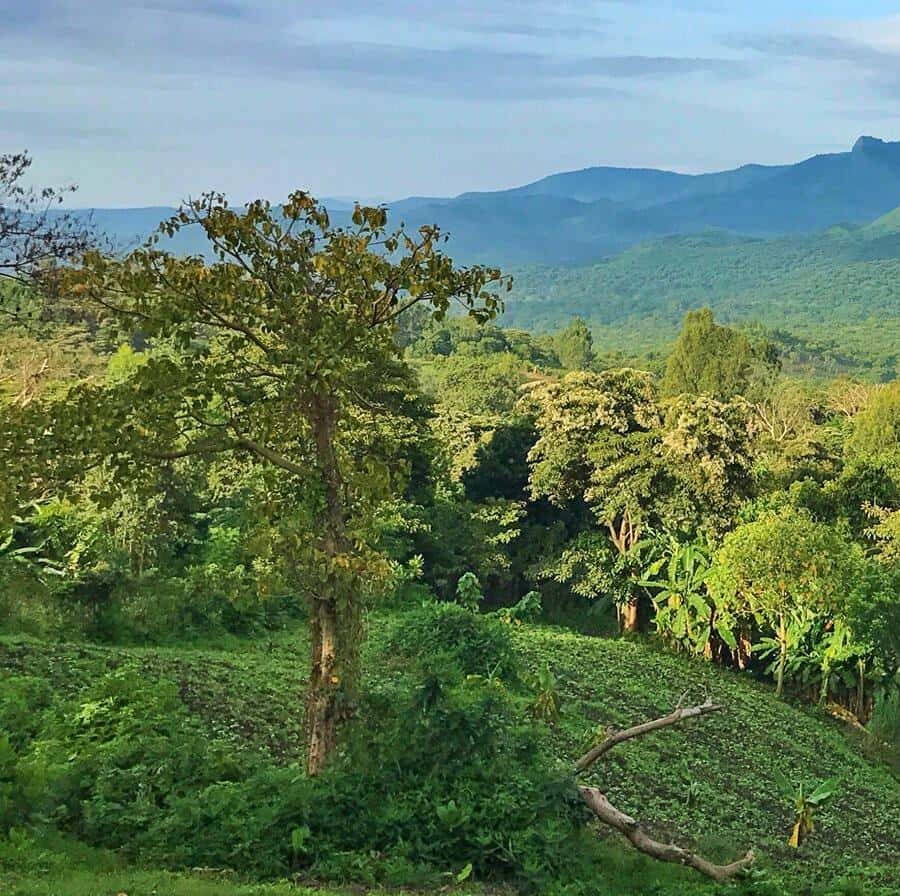 From Addis Ababa: 6-Day Chebera Churchura & Halla Kella Tour | GetYourGuide