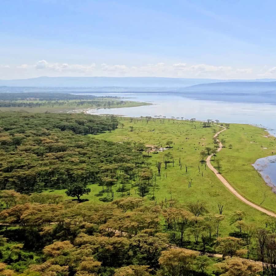 Safari privato di 2 giorni al Parco Nazionale del Lago Nakuru ...