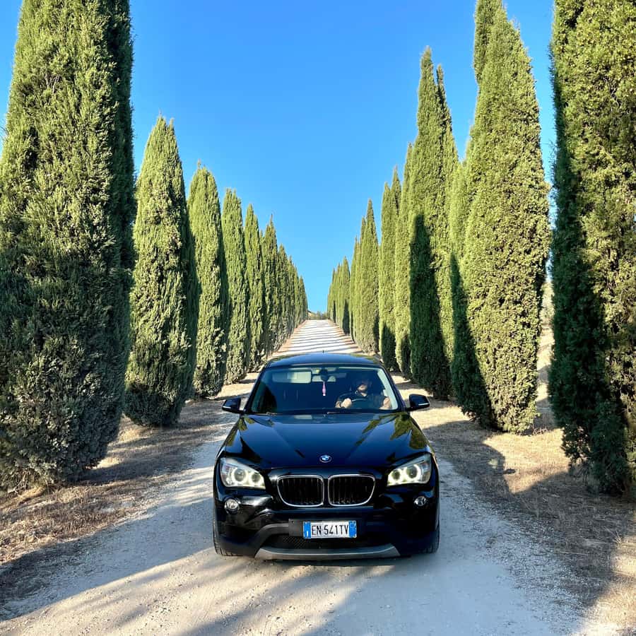 Rome to Saturnia ; Thermal Springs Day Trip with Lunch | GetYourGuide