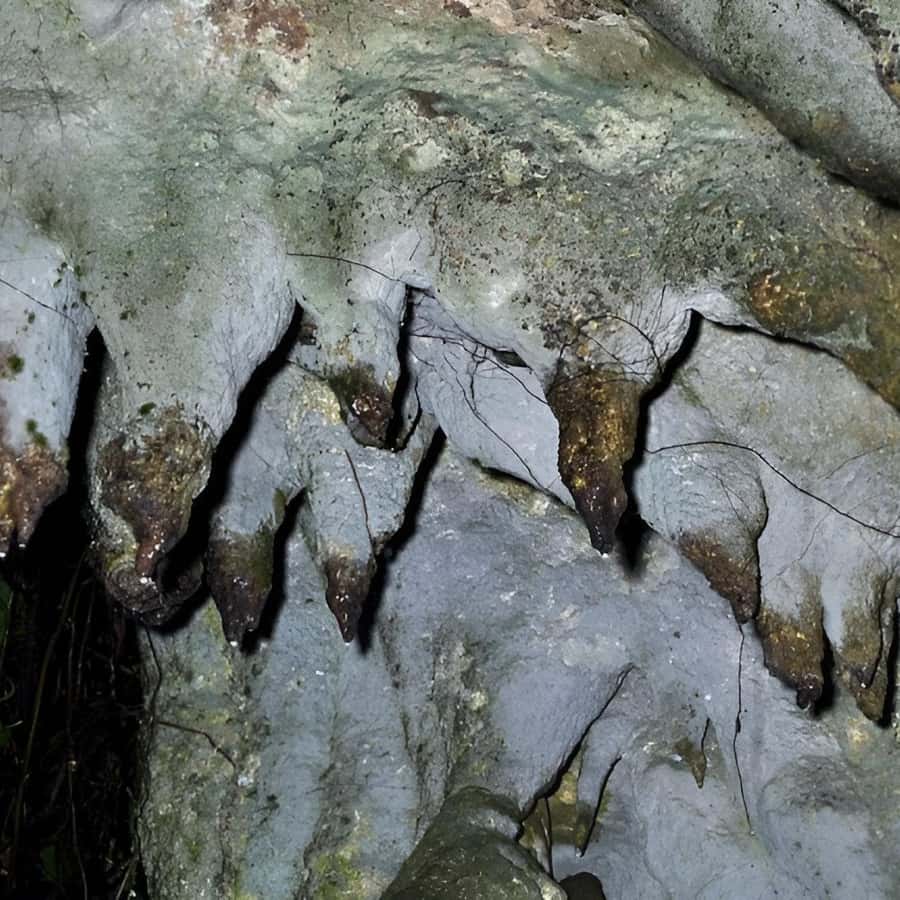 Fort Portal: Amabere Caves, Crater Lakes, and Palace Tour | GetYourGuide