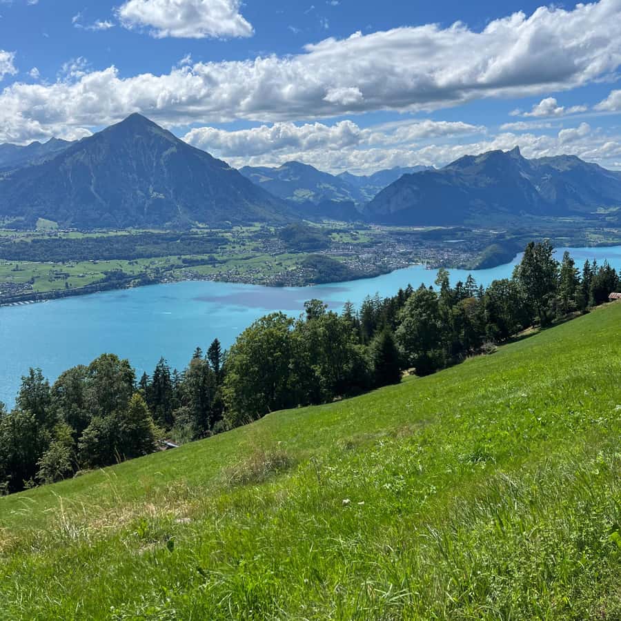 Interlaken. Spectacular ridge hike over Lake Thun. | GetYourGuide