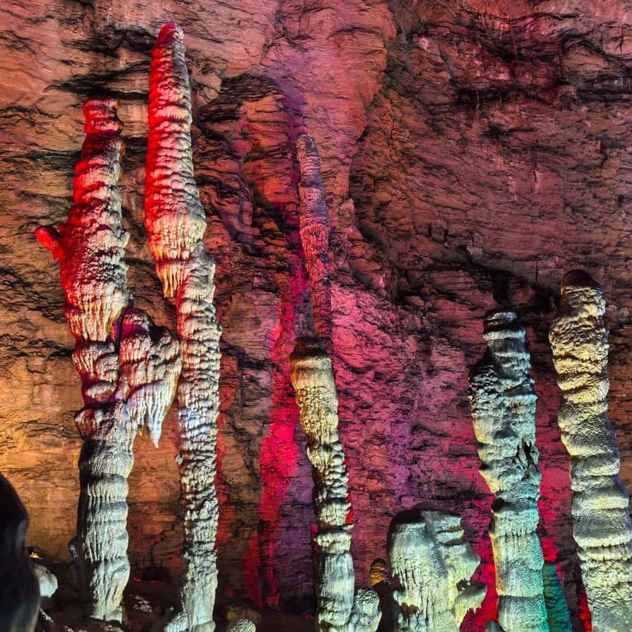 Zhangjiajie:Avatar&Tianmen Mt.,Fenghuang 5-Day Private Tour | GetYourGuide