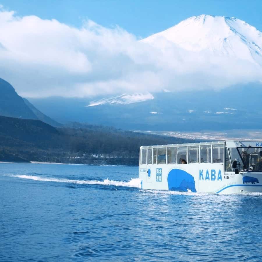 Tokyo : Tour du Mont Fuji en bus KABA Croisière sur le lac avec prise ...
