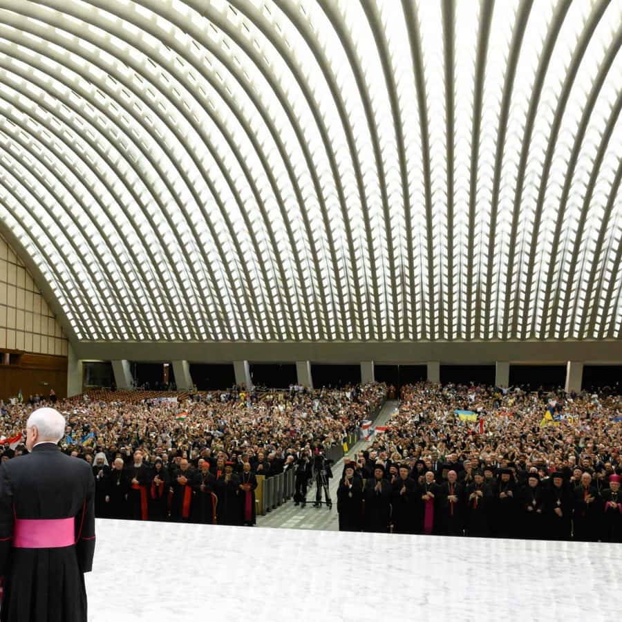 Rome: Escorted Papal Audience Experience with Entry Ticket | GetYourGuide