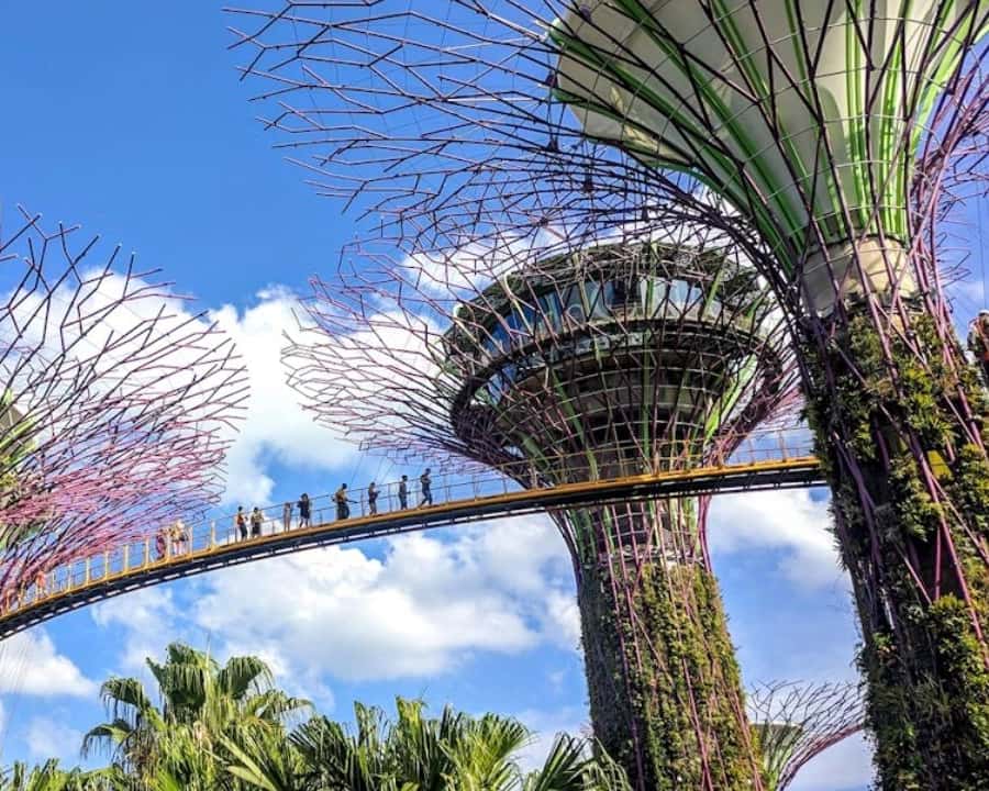 Singapore Garden City: Iconic Landmarks, Parks & Best Views | GetYourGuide