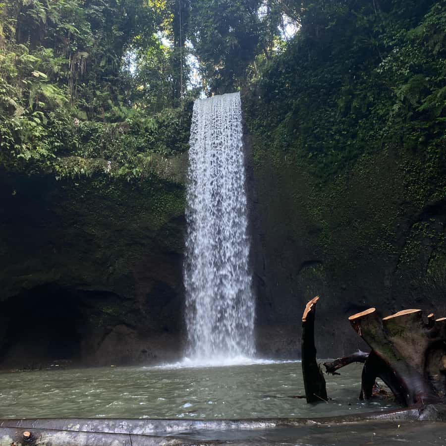 Best Watefalls, Holy Water Temple and Rice terrace | GetYourGuide