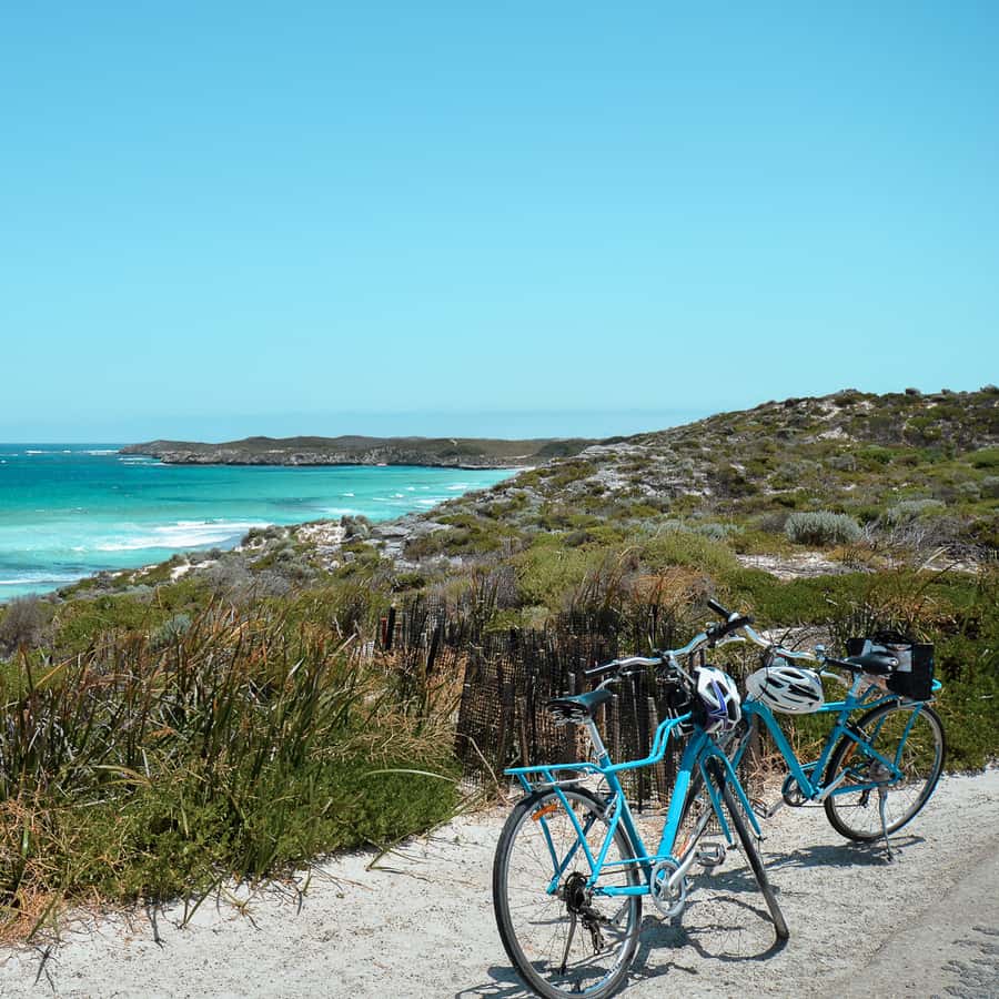 From Fremantle: Rottnest Island Ferry & Admission Ticket | GetYourGuide