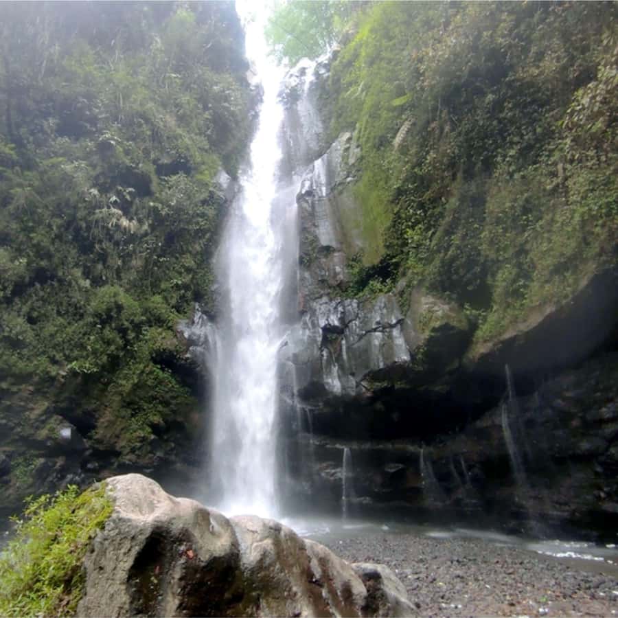 Yogyakarta: Selogriyo Temple, Rice Terraces & Waterfall Tour | GetYourGuide