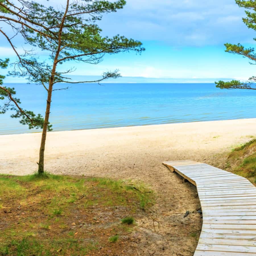 Jurmala,Kuldiga, Ragaciems beach, Kemeri N Park,Food & drink | GetYourGuide