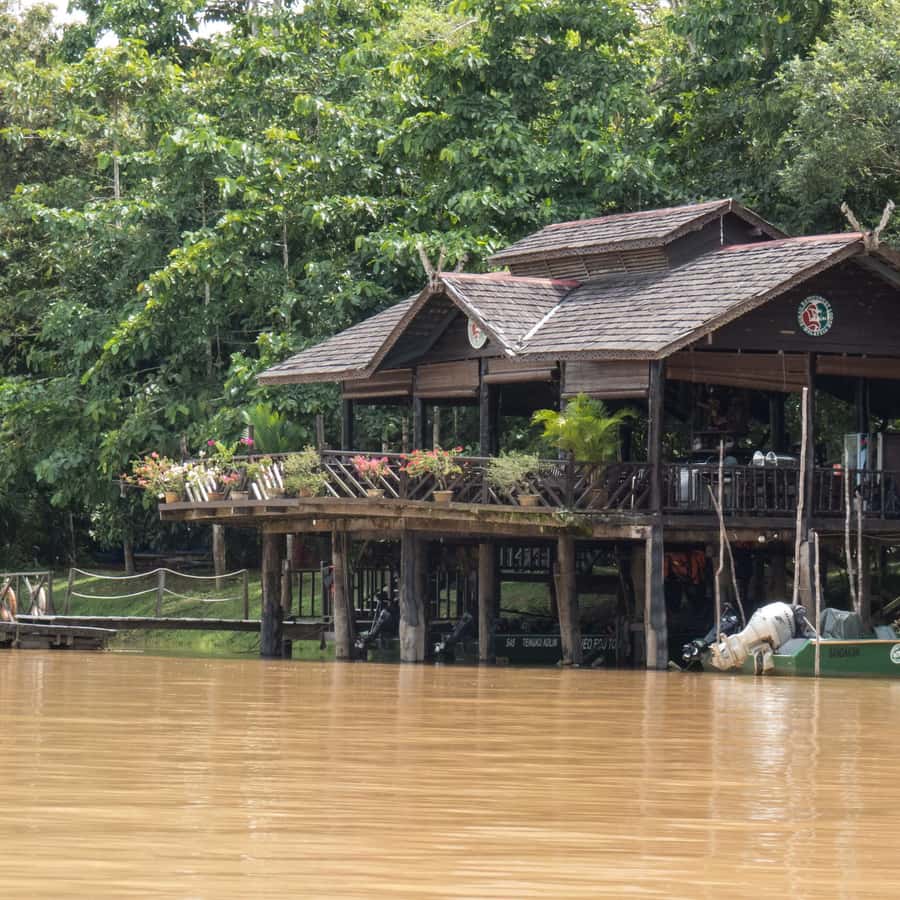 Sandakan: 3D2N The Wild Heart of Borneo River Secrets | GetYourGuide