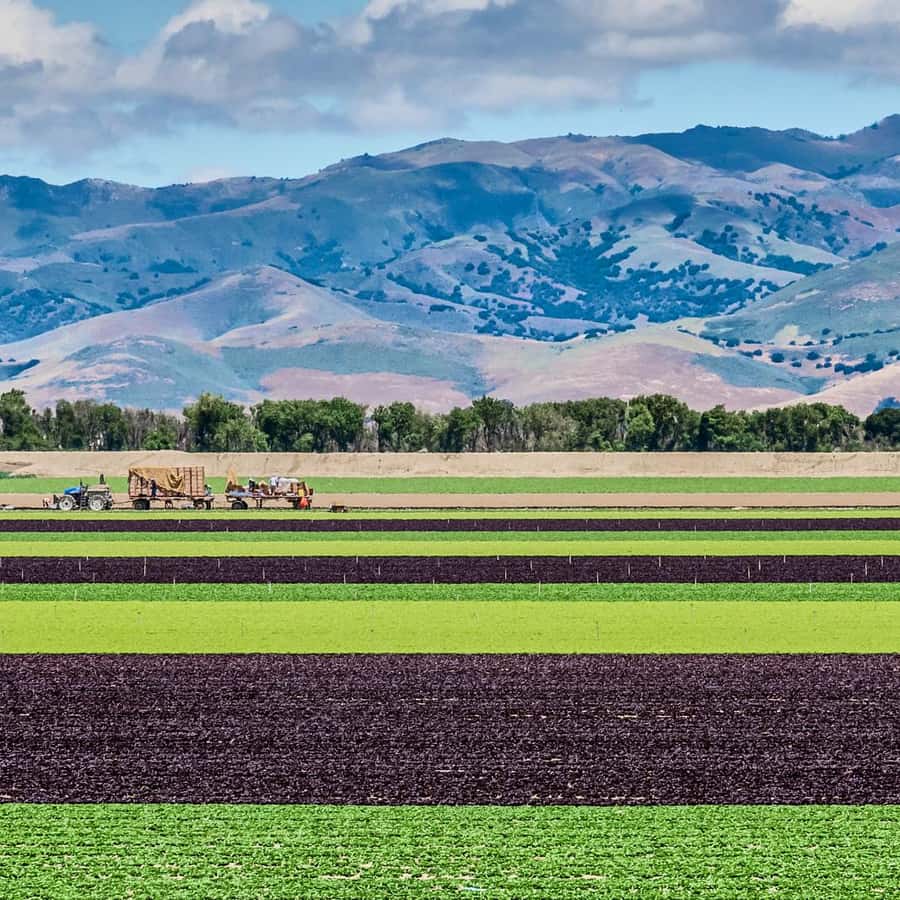 Monterey County Salinas Valley Farm Tour | GetYourGuide