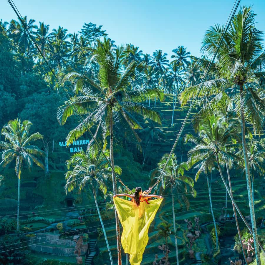 Ubud: Alas Harum Day-Pass, Swing, Sky Bike & Flying Fox | GetYourGuide