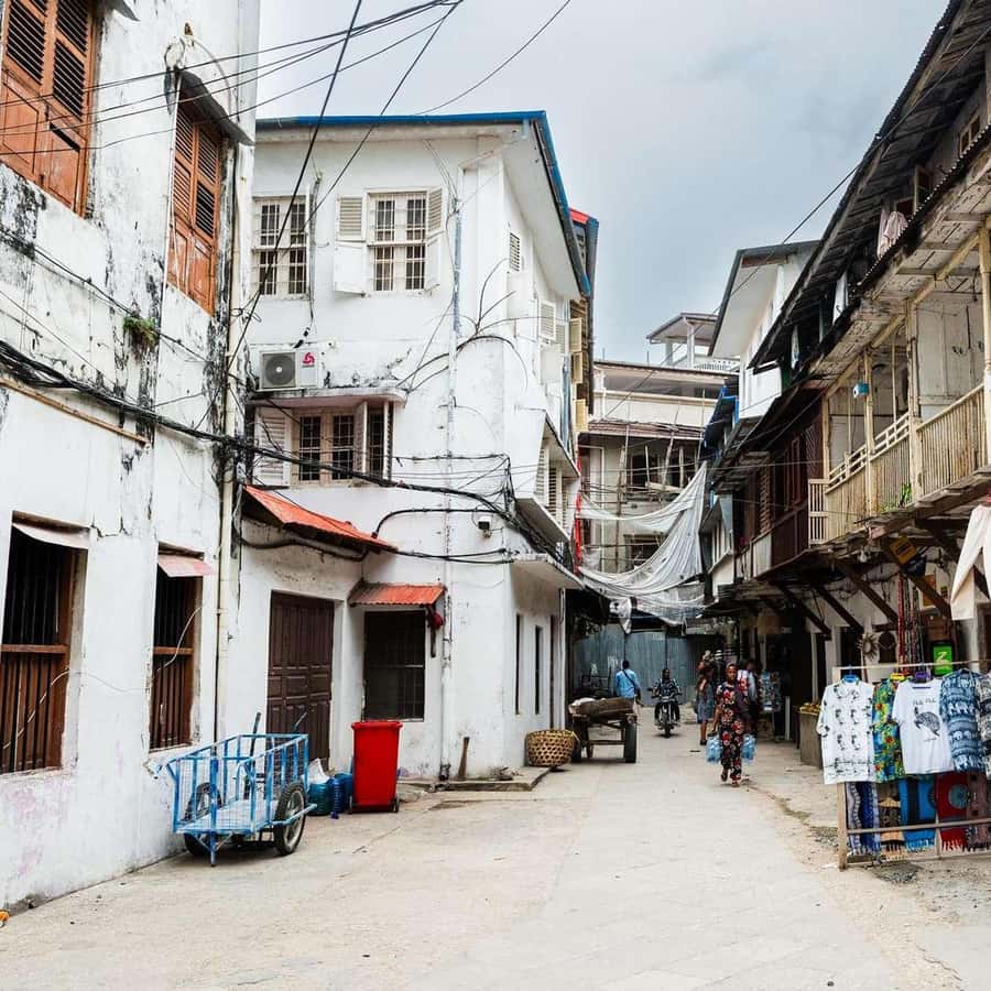 Zanzibar: Local village visit and Stone Town Guided Tour | GetYourGuide