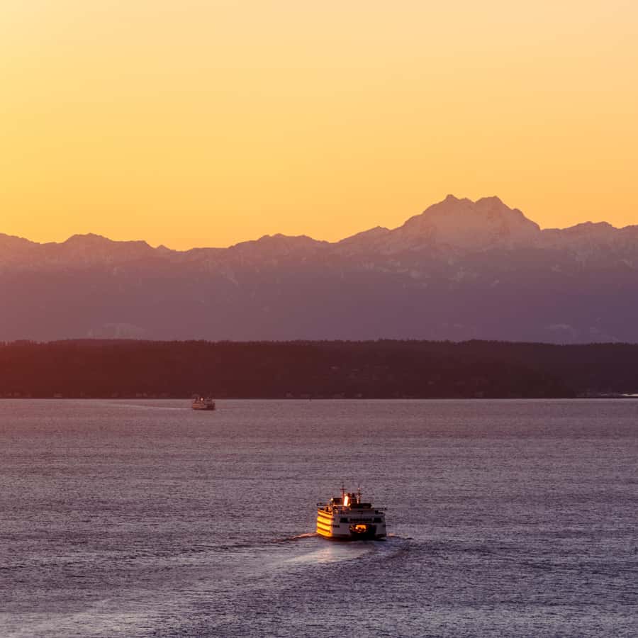 Seattle: Smith Tower Observatory Access Ticket | GetYourGuide