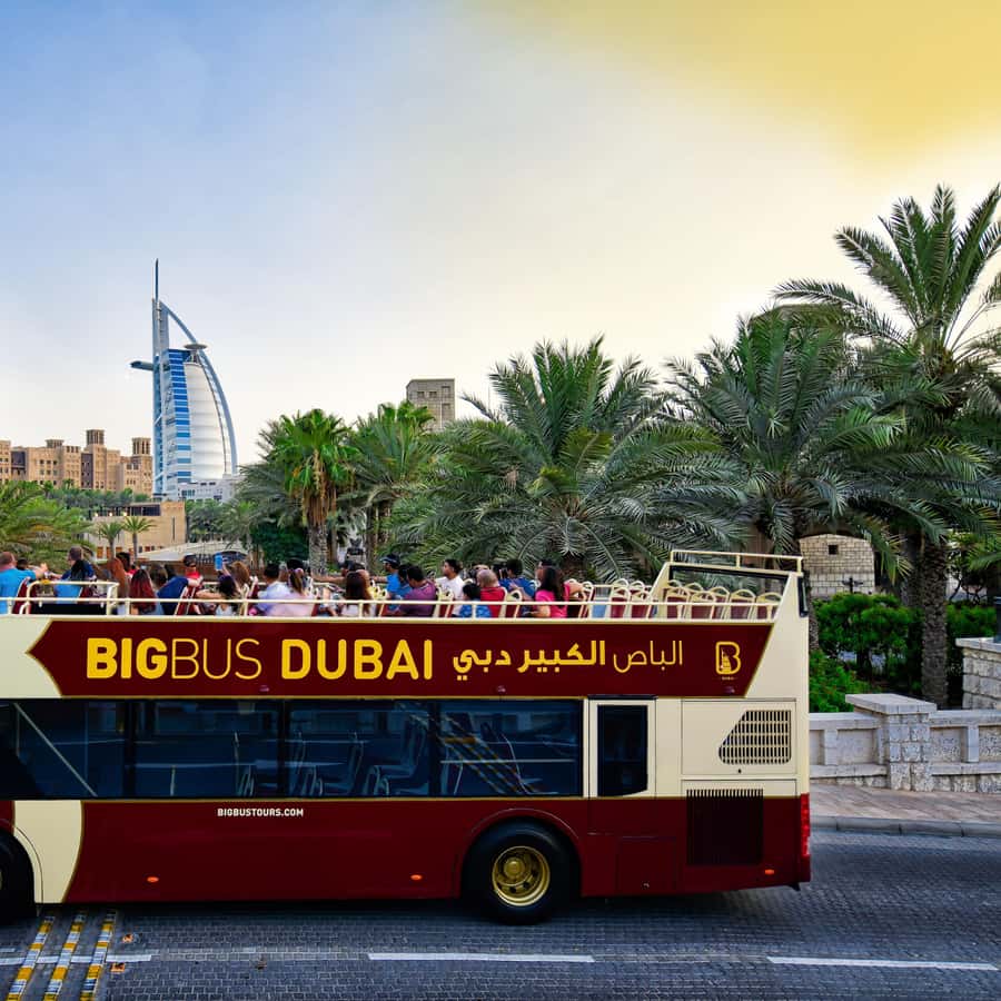 Dubai: Big Bus Panoramic Night Tour & Optional Dinner Cruise | GetYourGuide