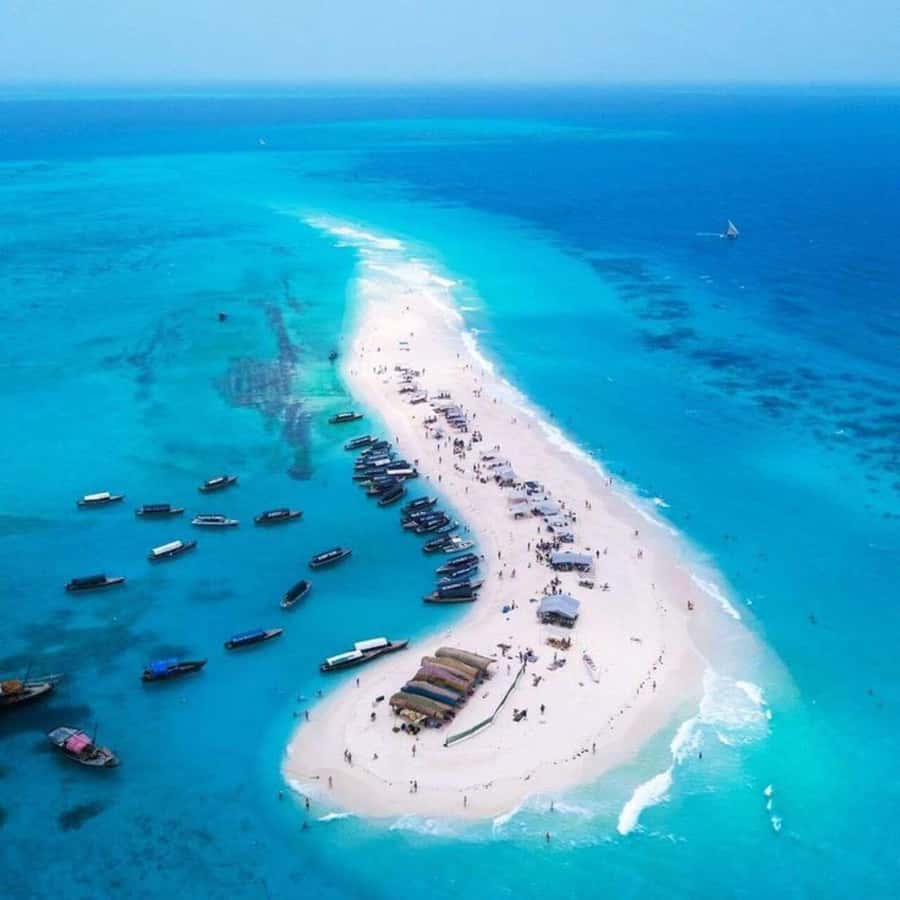 ZANZIBAR: Pungume Island Snorkeling & Sandbank+BBQ | GetYourGuide