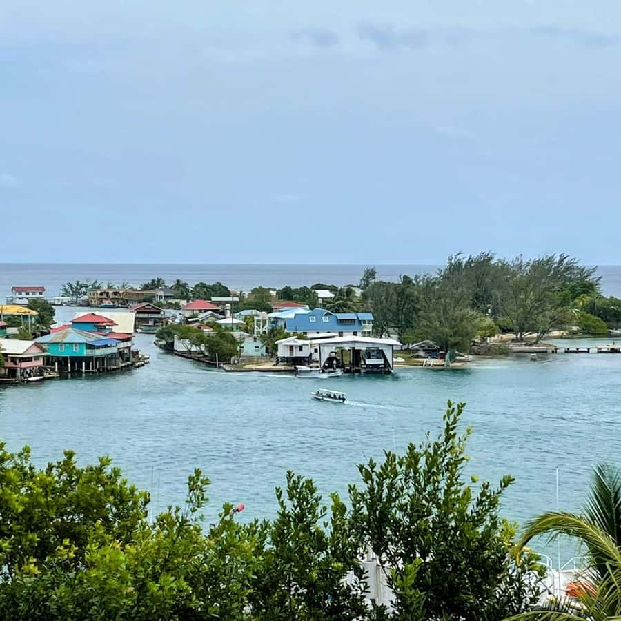 Roatan: East Island Tour with Mangrove | GetYourGuide