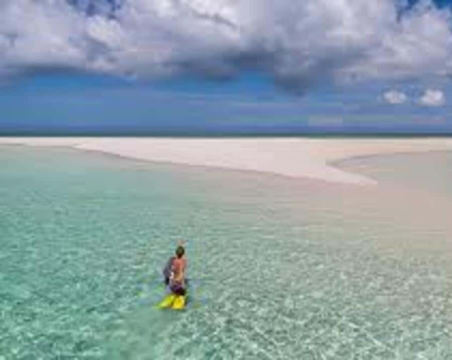 ZANZIBAR: Isla de Pungume, picnic en SandBank con barbacoa | GetYourGuide