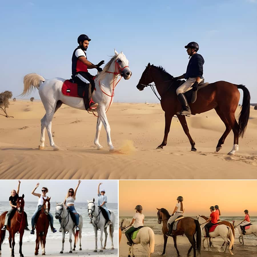 Doha: Horse Riding Experience in the Desert of Qatar | GetYourGuide