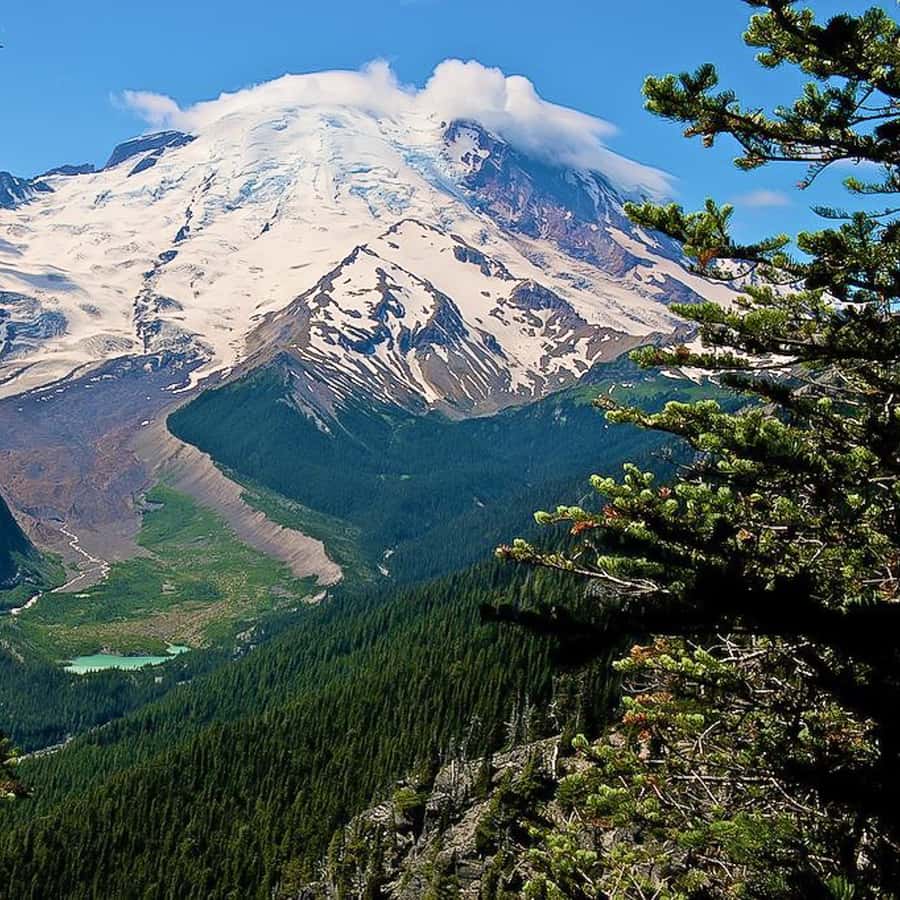 Seattle: Mount Rainier Park All-Inclusive Small Group Tour | GetYourGuide
