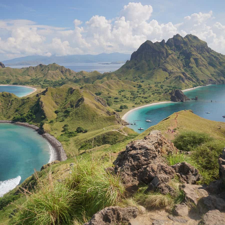 Labuan Bajo: One Day Tour to Explore Komodo National Park | GetYourGuide