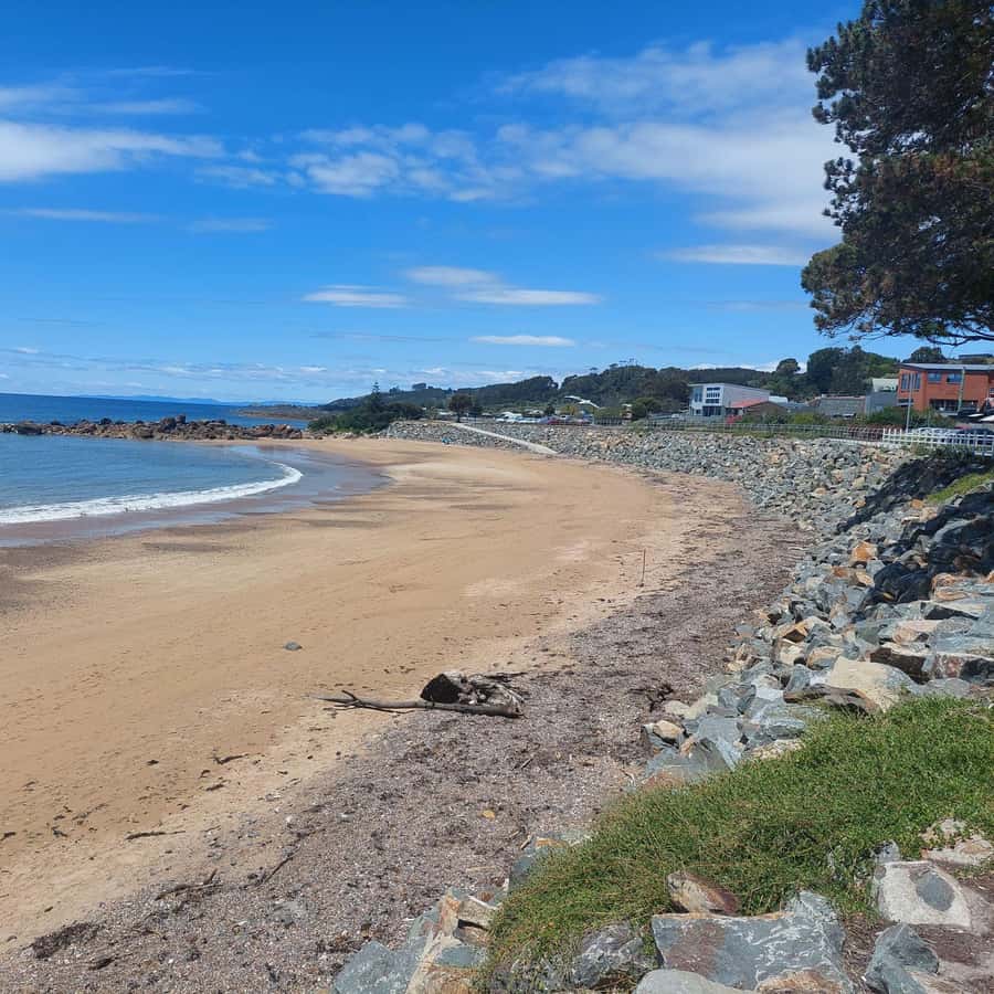 Burnie Attractions Bus | GetYourGuide