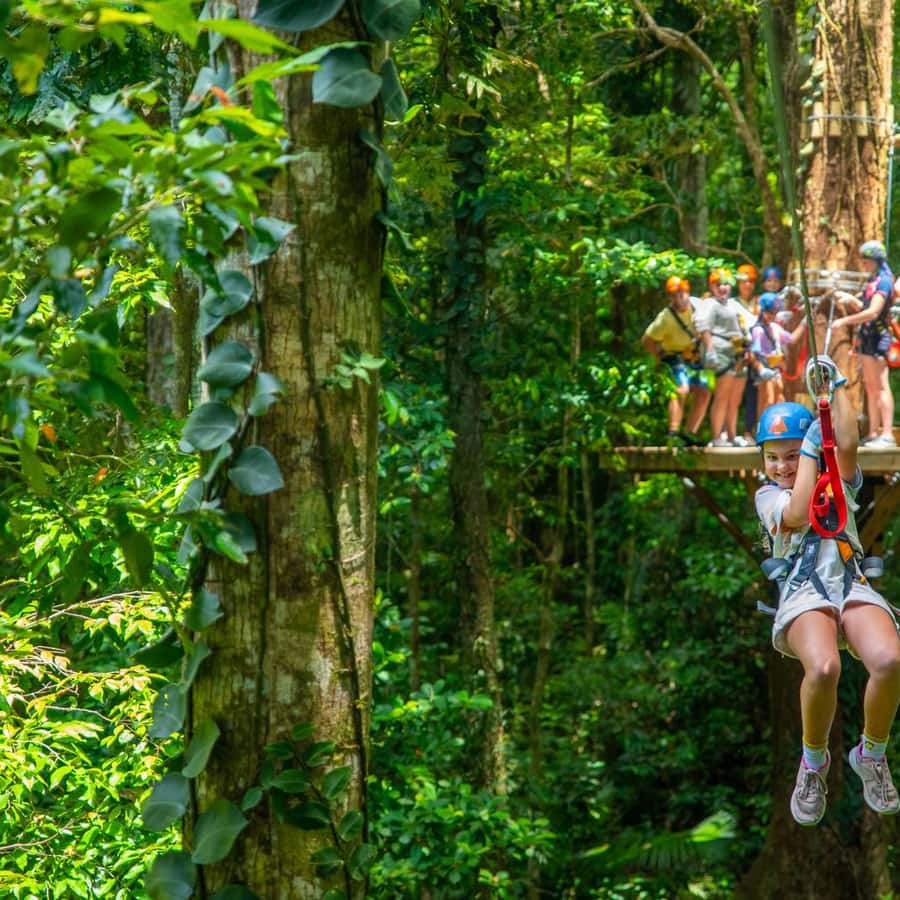 Cairns: Daintree Rainforest Canopy Ziplining Tour | GetYourGuide