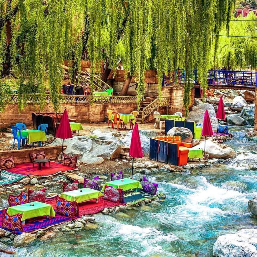 Marrakech : Vallée de l'Ourika et Atlas avec déjeuner | GetYourGuide