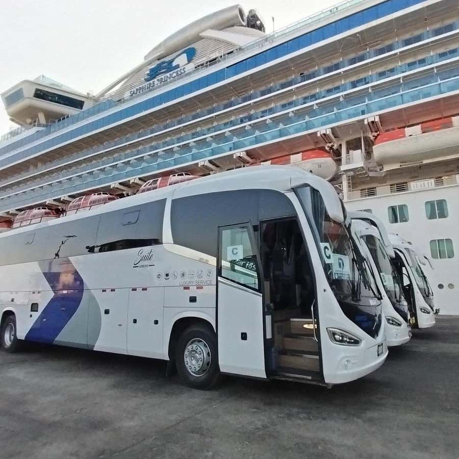 Ballestas et réserve de Paracas depuis le terminal de croisière de Pisco | GetYourGuide