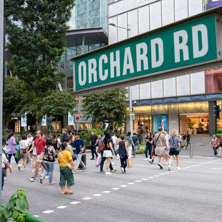 Singapore Limousine Van Tour: ️ Shopping & Street Food Trail | GetYourGuide