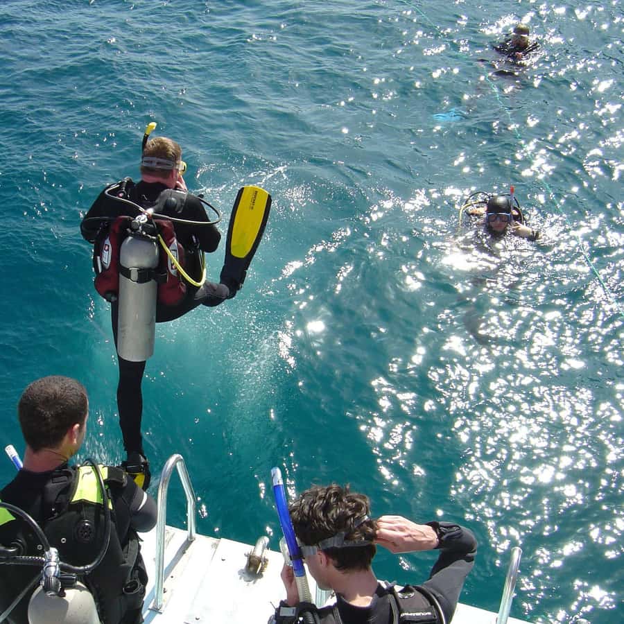 Mer Rouge : Plongée sous-marine et plongée avec masque et tuba ...