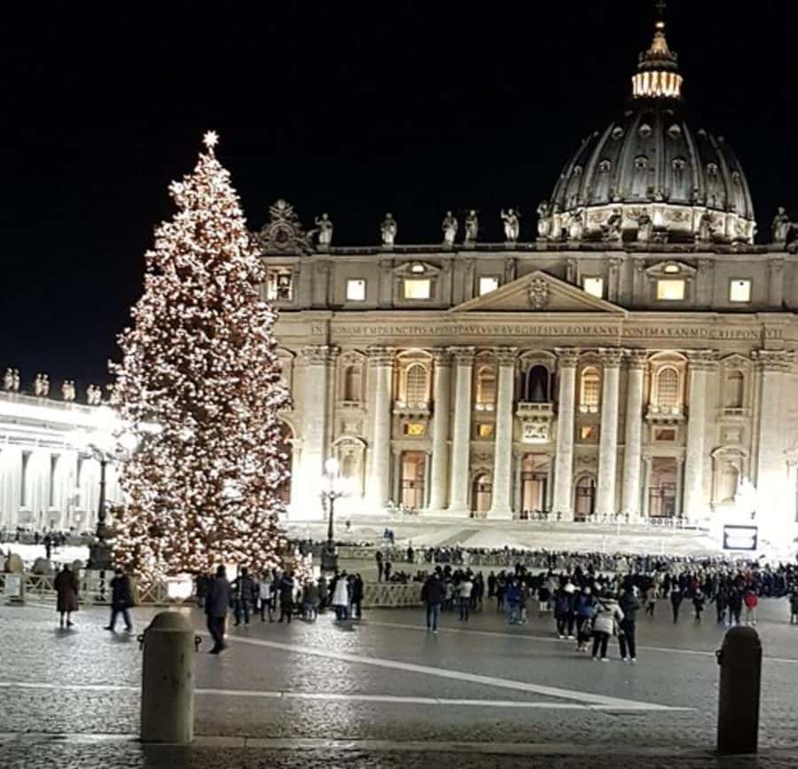 Msza noworoczna z papieżem Leonem XIV - prywatna wycieczka | GetYourGuide