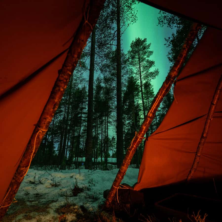 Luleå: scopri la cultura Sami, le renne e l'aurora boreale in un tour ...