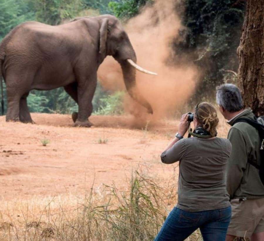 Isimangaliso Day Tour & Hippo & Croc Boat Cruise From Durban | GetYourGuide