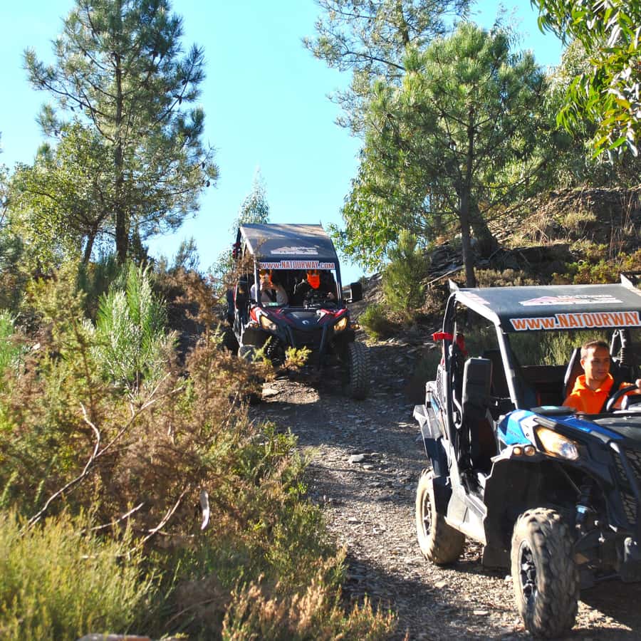 Buggy Family Experience - 60 bis 120 Minuten | GetYourGuide