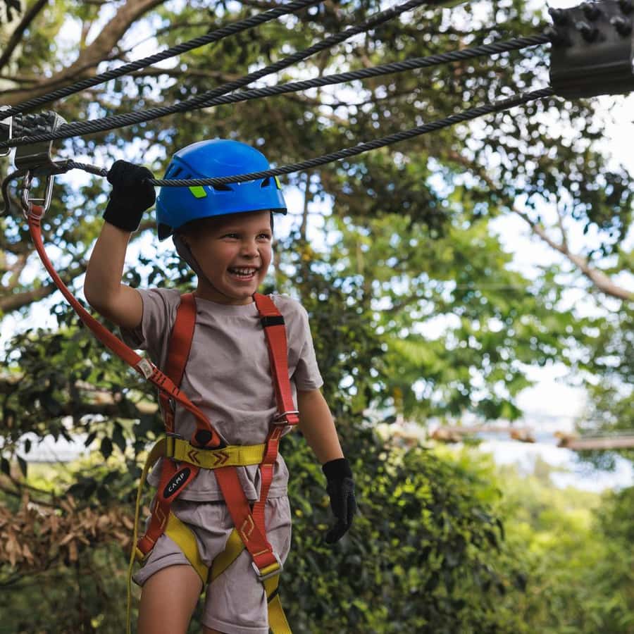 Ourimbah: Central Coast Junior Tree Ropes Course | GetYourGuide