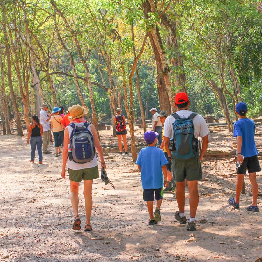 San Pedro Sula: Maya-Ruinen von Copan Tagesausflug mit Führer ...