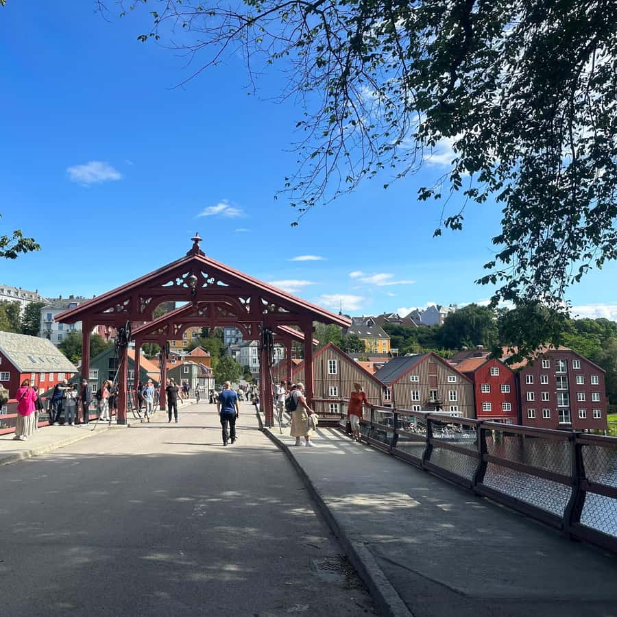 Trondheim: City Bus Tour | GetYourGuide