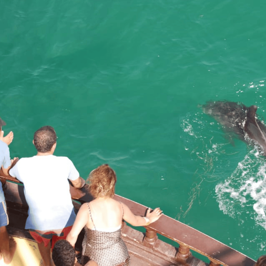 Djerba : Excursion en bateau pirate sur l'île de Flamingo avec déjeuner | GetYourGuide