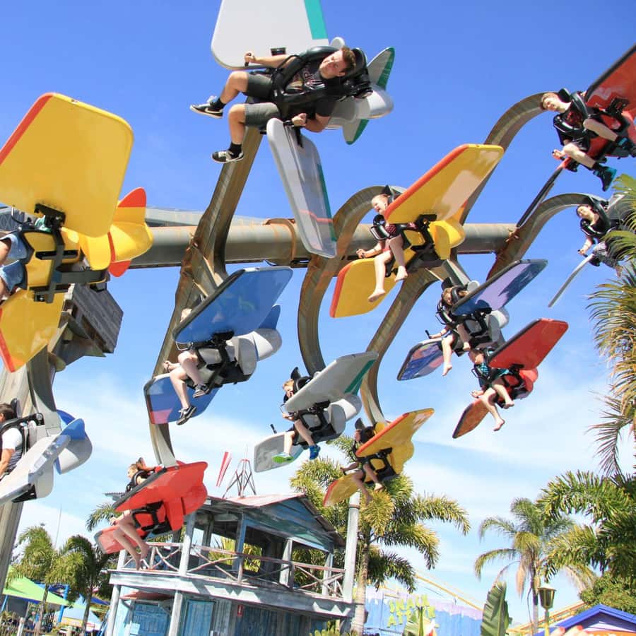 Gold Coast: Dreamworld 1-Day Entry Ticket | GetYourGuide