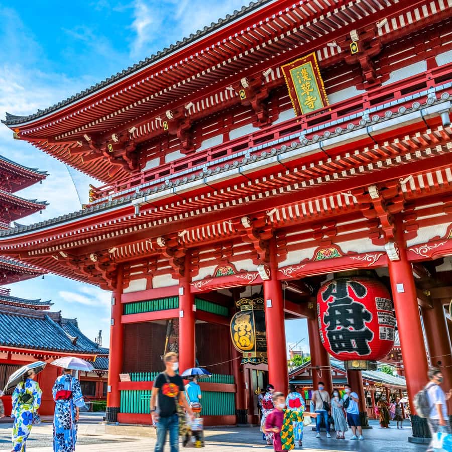 Tokyo Morning Tour: Meiji Shrine, Asakusa & Fish Market | GetYourGuide