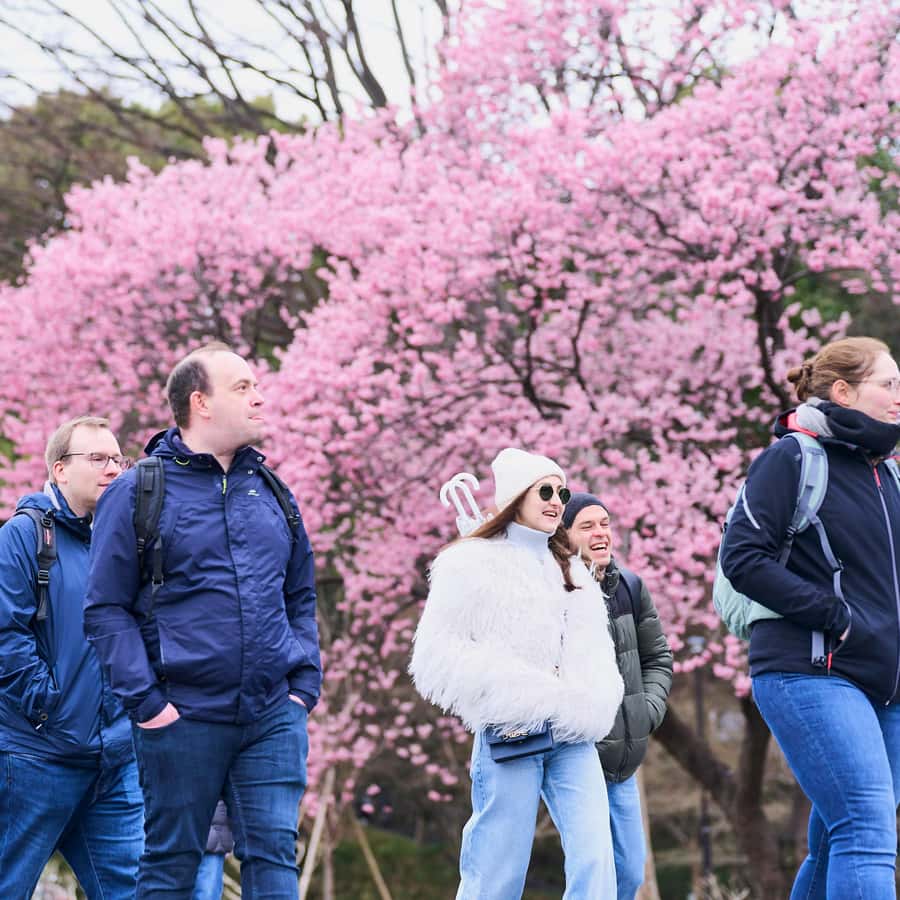 Tokyo Castle & Imperial Palace - Historical Walking Tour | GetYourGuide
